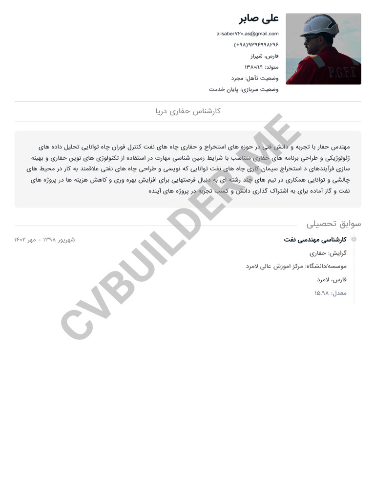 Resume Ali Saber | PDF