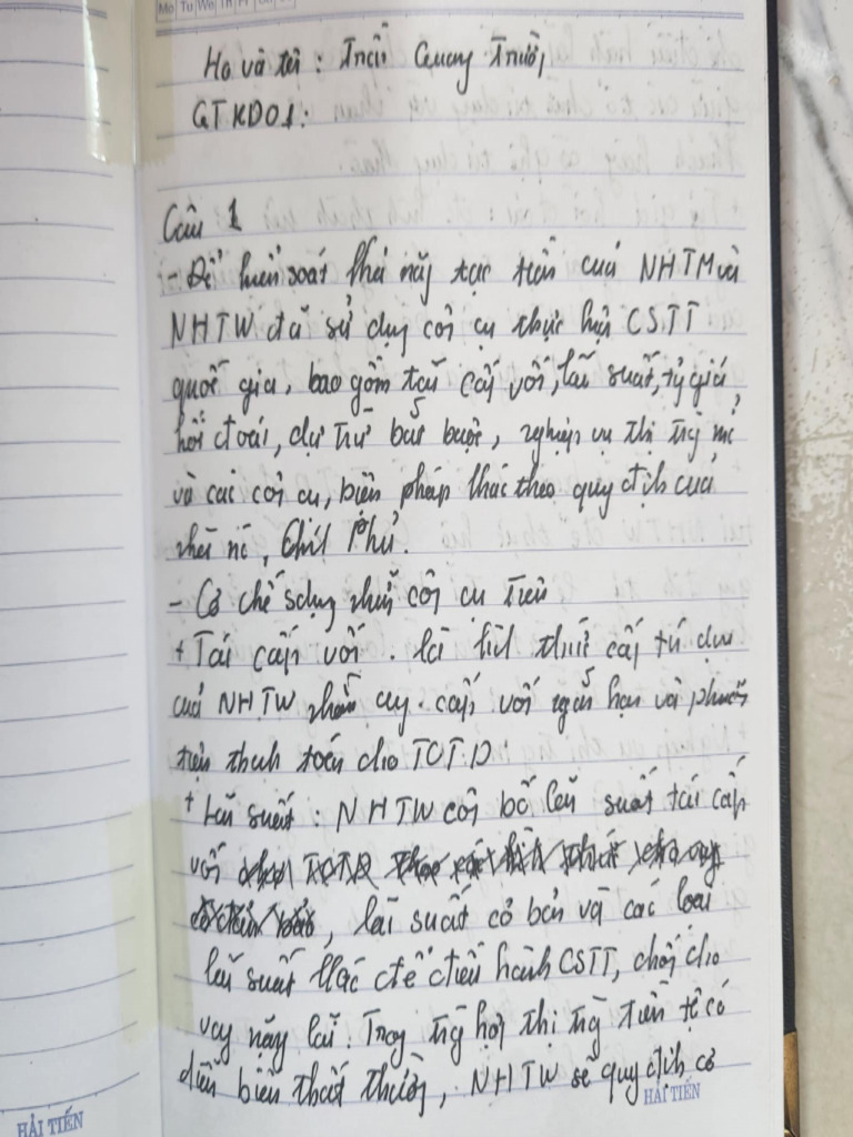 Trần Quang Trường - QTKD01 | PDF