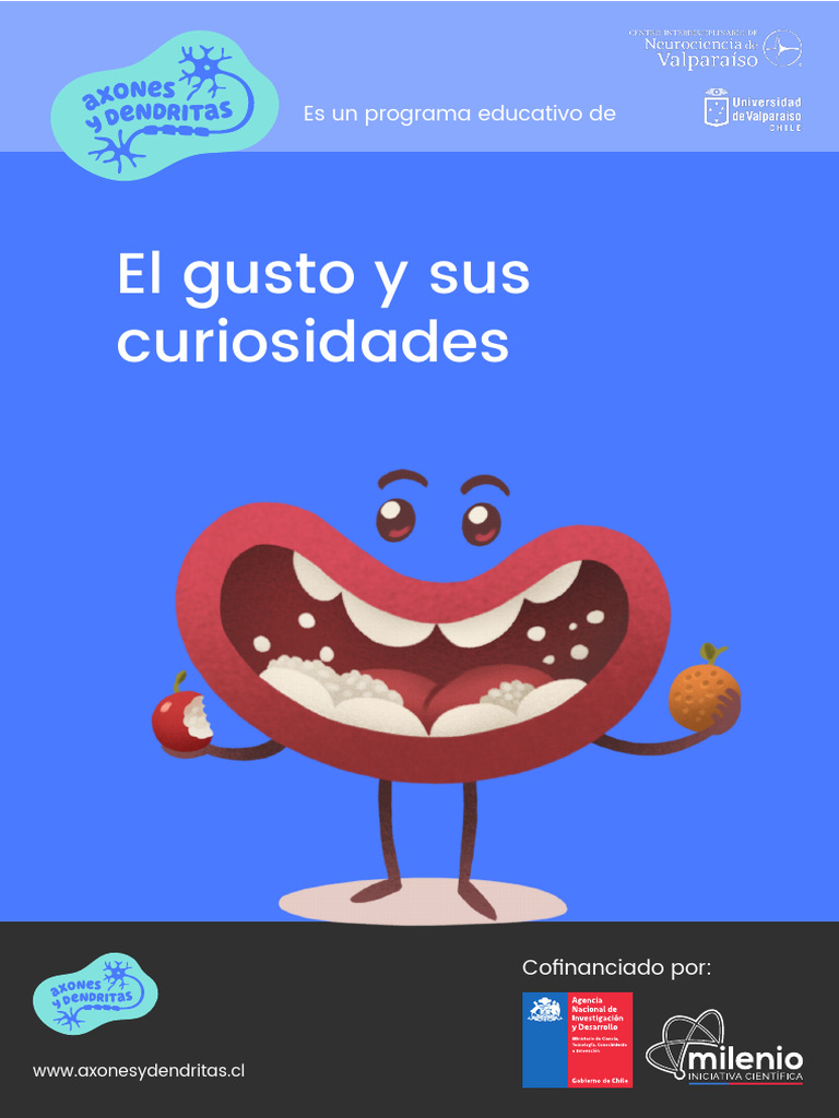 Curiosidades sobre el sentido del gusto | PDF | Gusto | Sistema nervioso