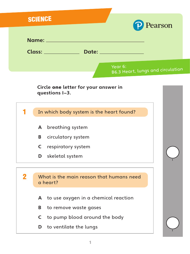 Year 6 Science: Heart and Circulation Test | PDF | Circulatory System ...
