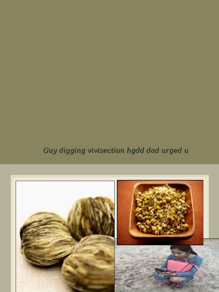 Guy Digging Vivisection HGDD Dad Urged U | PDF