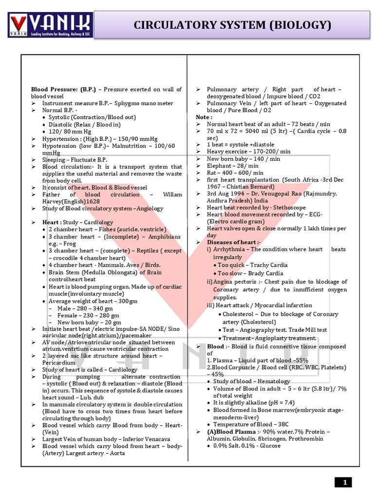 Circulatory System | PDF | Heart | White Blood Cell