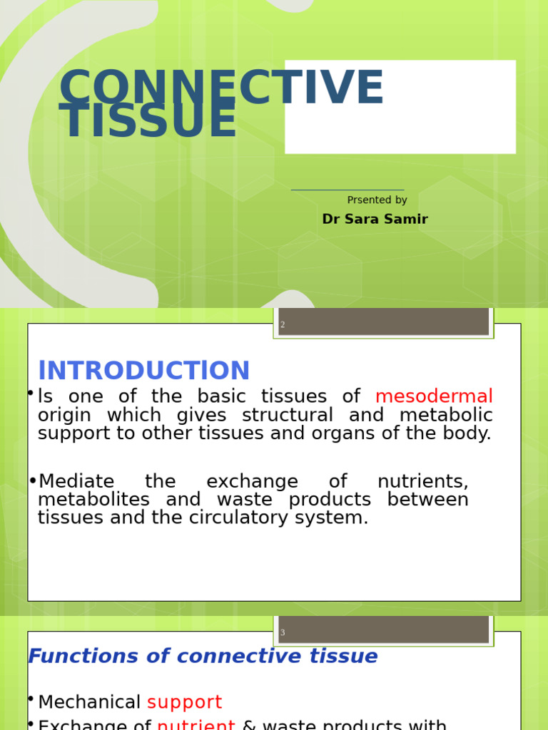 Functions and Types of Connective Tissue | PDF | Connective Tissue ...