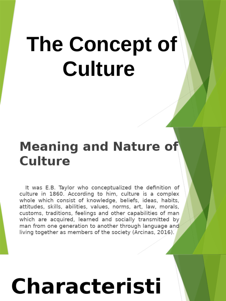 Ucsp 1 | PDF | Socialization | Value (Ethics)