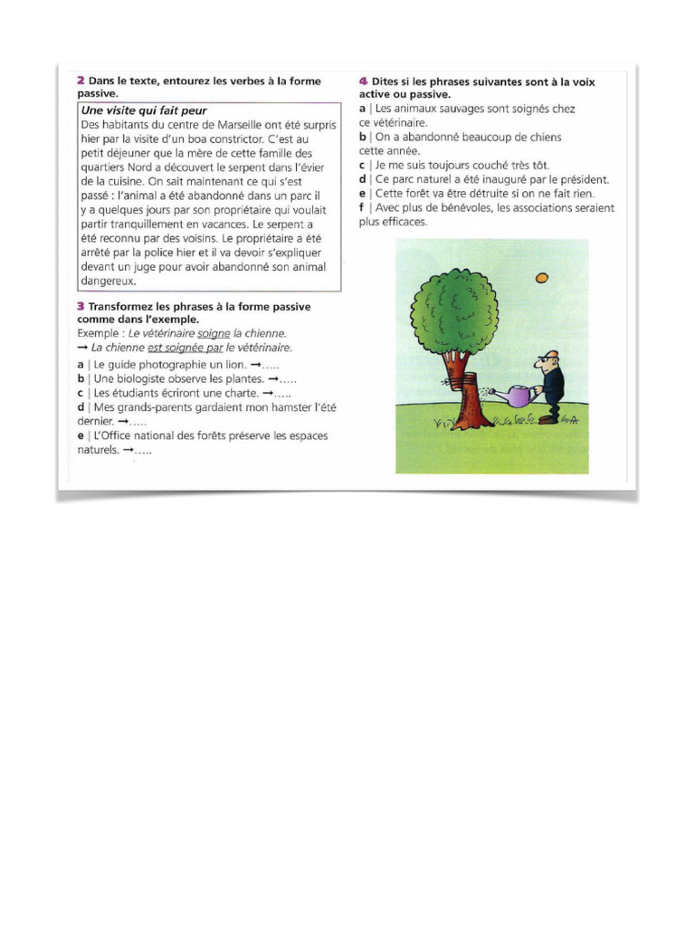 Exercices Voie Passive | PDF