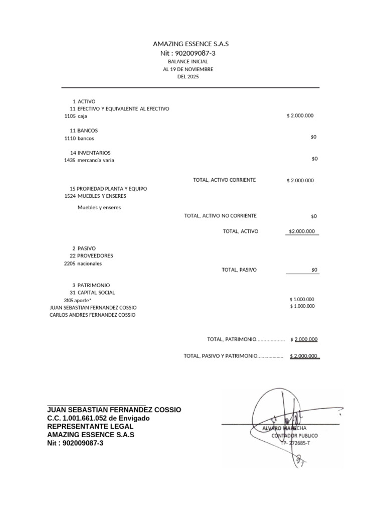 Balance Inicial y Certificado de Participación Accionaria ALIADO UB SAS ...