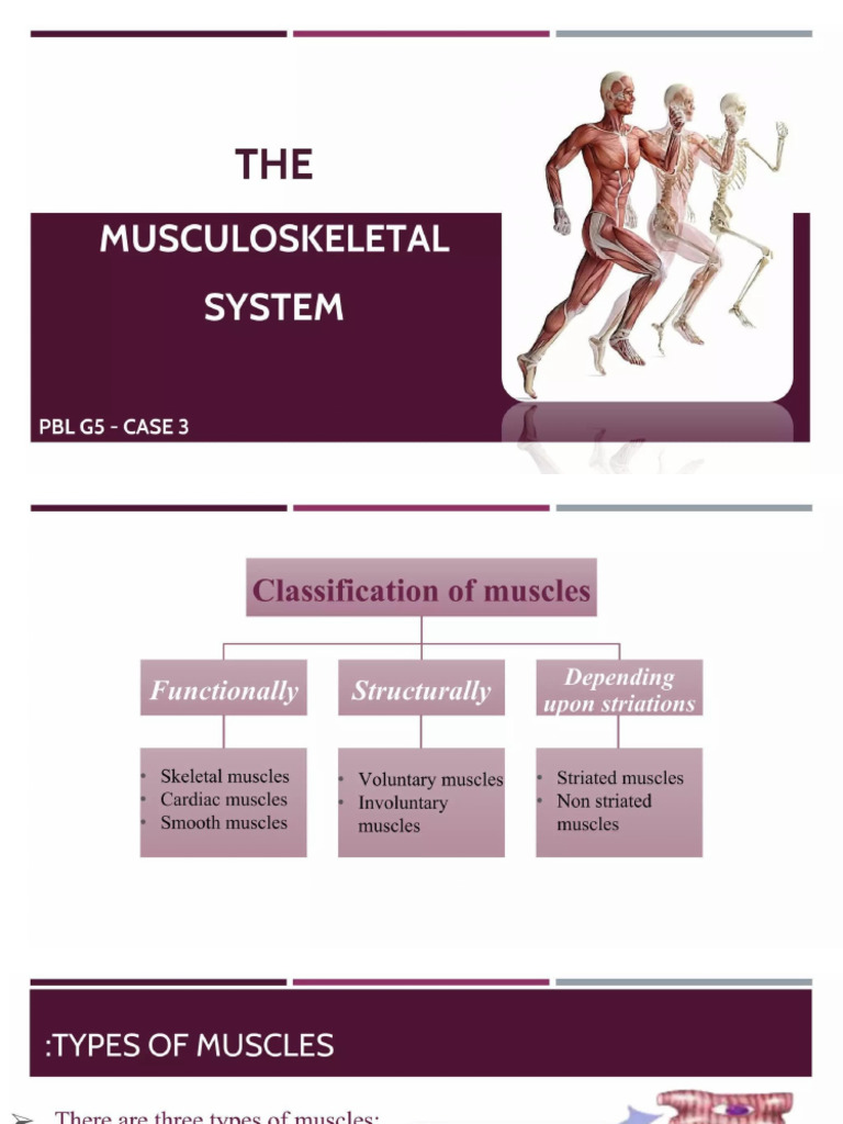 Share Muscle Anatomy | PDF