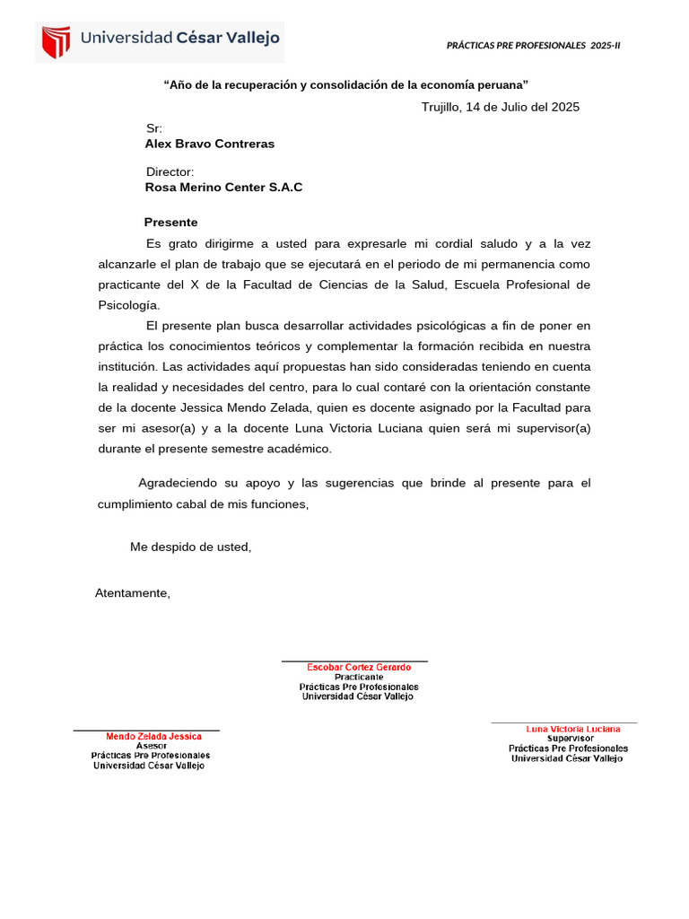 Carta de Entrega de Plan de Trabajo-2025ii | PDF