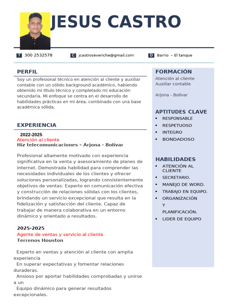 Hoja de Vida - Jesus Castro | PDF | Servicio al Cliente | Business