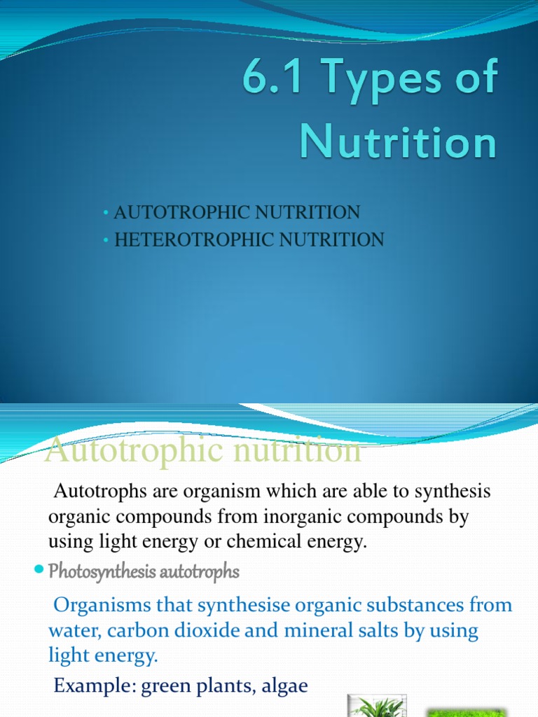 Autotrophic vs Heterotrophic Nutrition | PDF