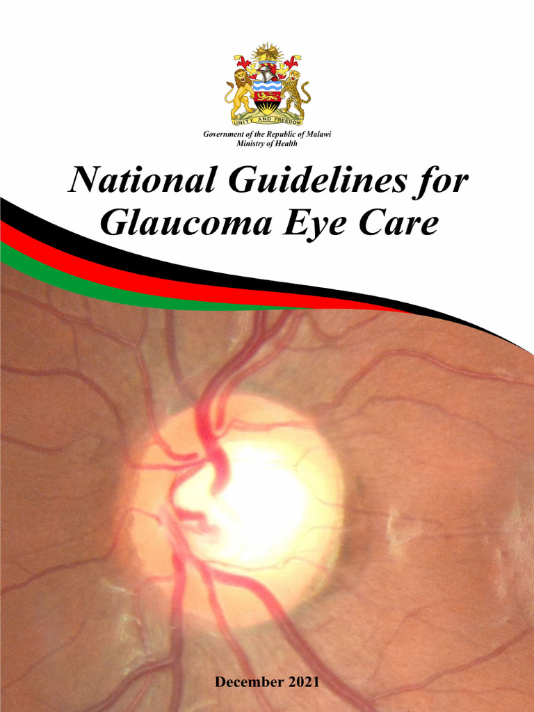 Glaucoma Care Guidelines for Eye Providers | PDF | Glaucoma | Visual ...