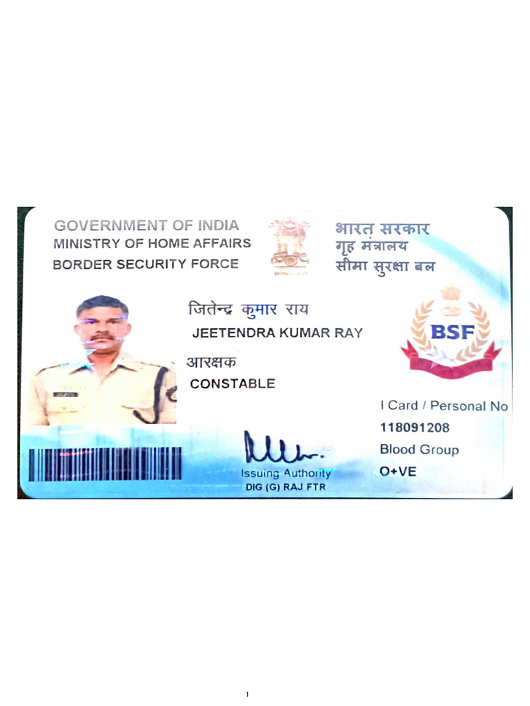 Ray I Card | PDF