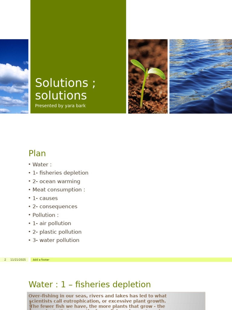 Solutions | PDF | Eutrophication | Fish