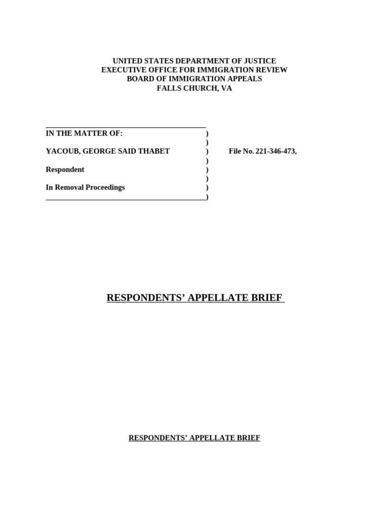 Immigration Appeal for Asylum Case | PDF | Standard Of Review | Asylum ...