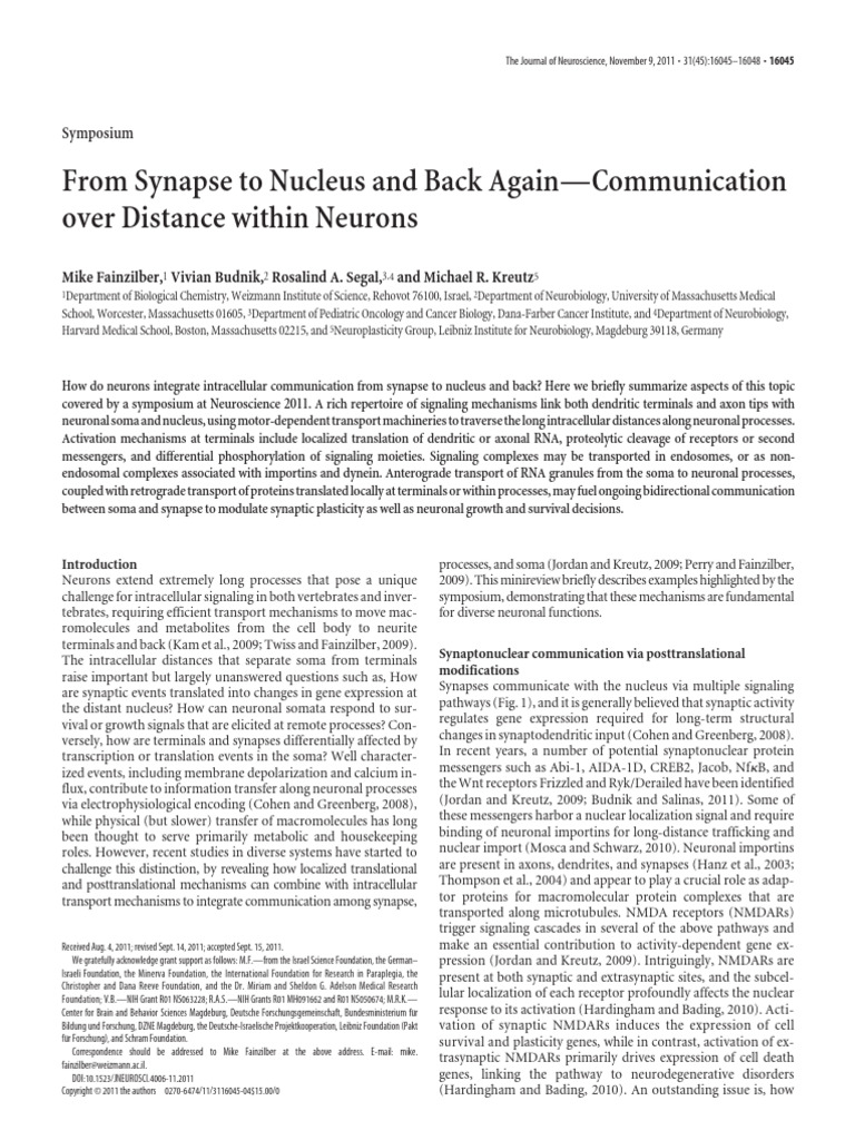 Neuronal Communication: Synapse to Nucleus | PDF | Synapse | Neuron