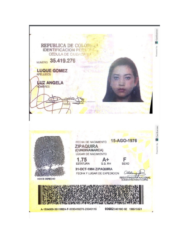 Luz Angela Luque | PDF