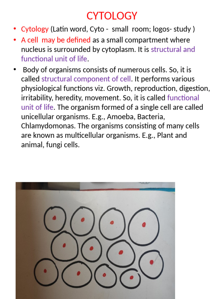 Overview of Cytology and Cell Structure | PDF | Cell (Biology) | Cell Wall