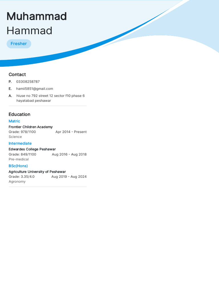 Muhammad Hammad | PDF