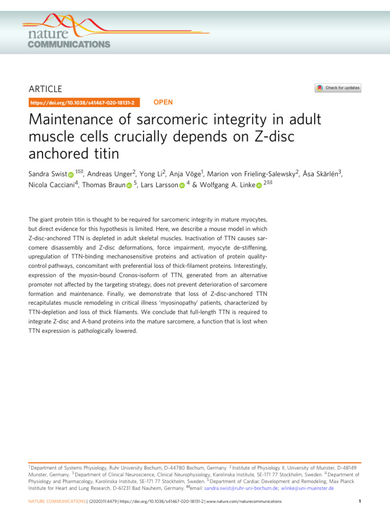 2020 Article 18131 | PDF | Skeletal Muscle | Protein Isoform