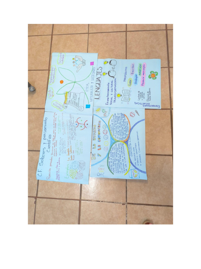 Actividad3 MALL800216-6Q2 | PDF