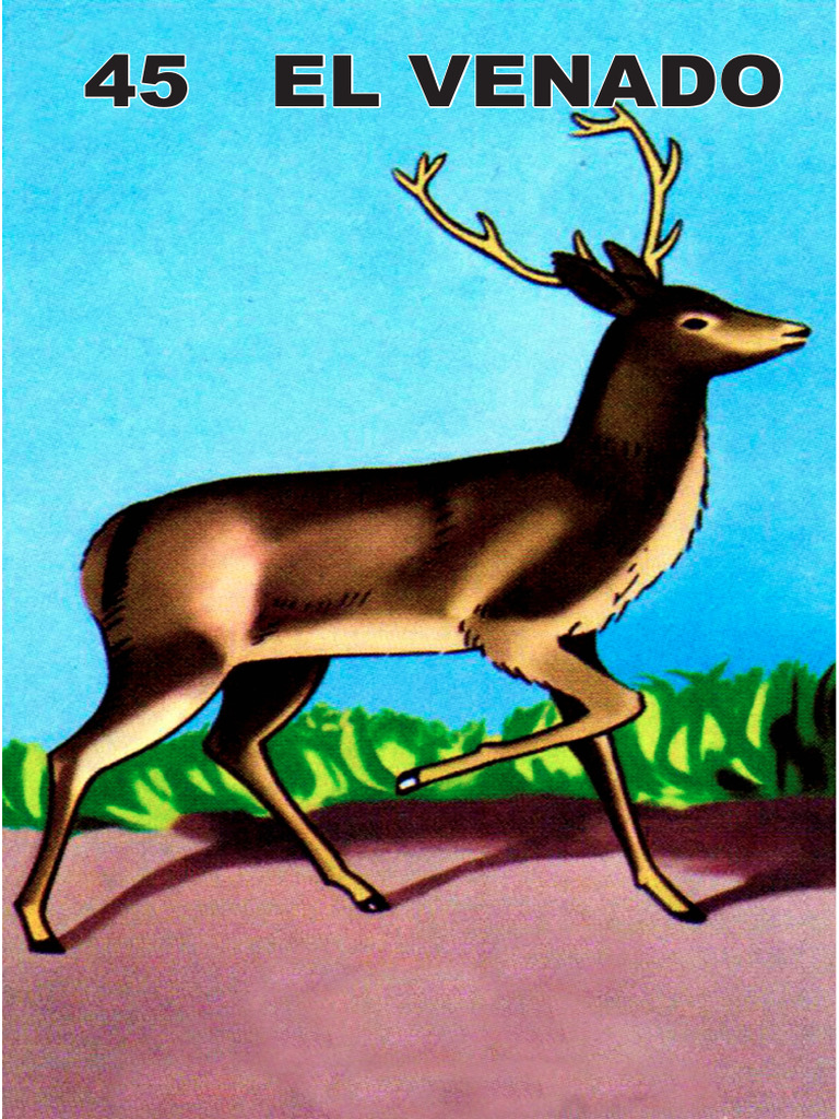 VENADO | PDF