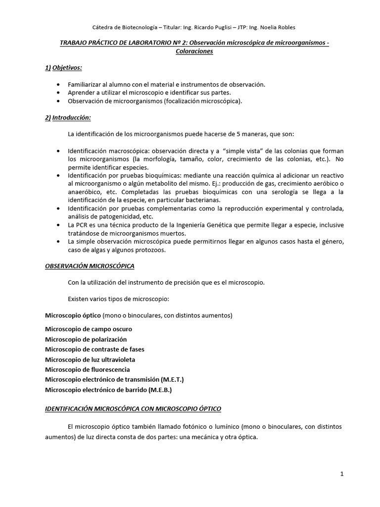 BT Práctico Nº 02 Observación, coloraciones | PDF | Microscopio | Biología Celular)