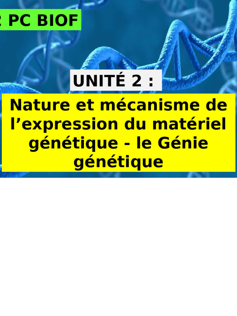 Mécanismes de l'expression génétique | PDF | Chromosome | Mitose