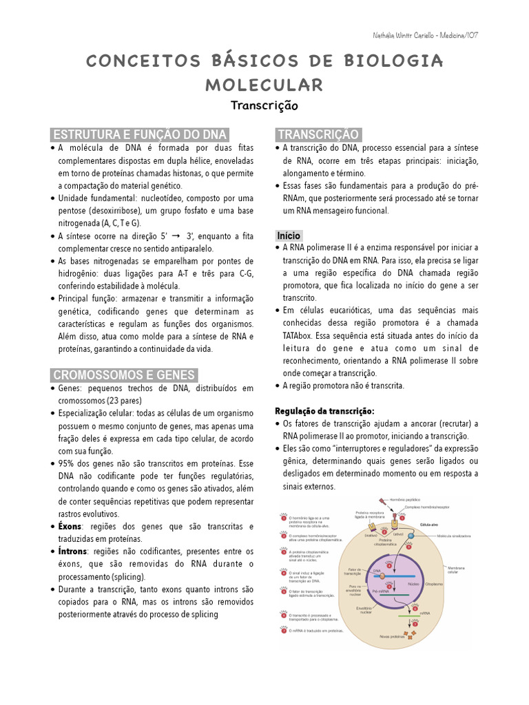 Estrutura e Função do DNA e Transcrição | PDF | Gene | RNA