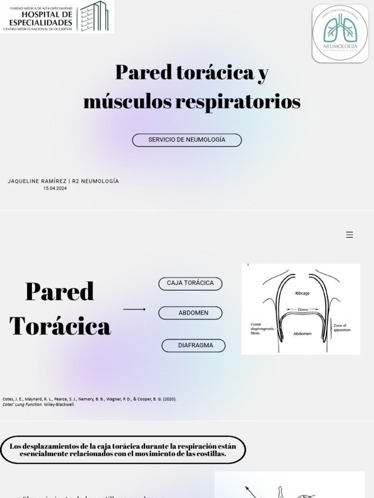 Pared Toracica y Musculos Respiratorios | PDF | Abdomen | Tórax