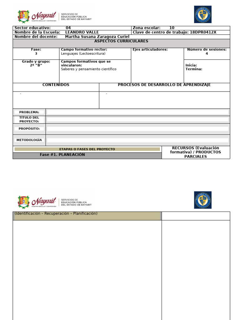 Formato Proyectos | PDF