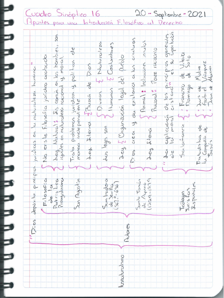 Cuadro Sinóptico 16 - Girón Knepp, Alan Miguel | PDF