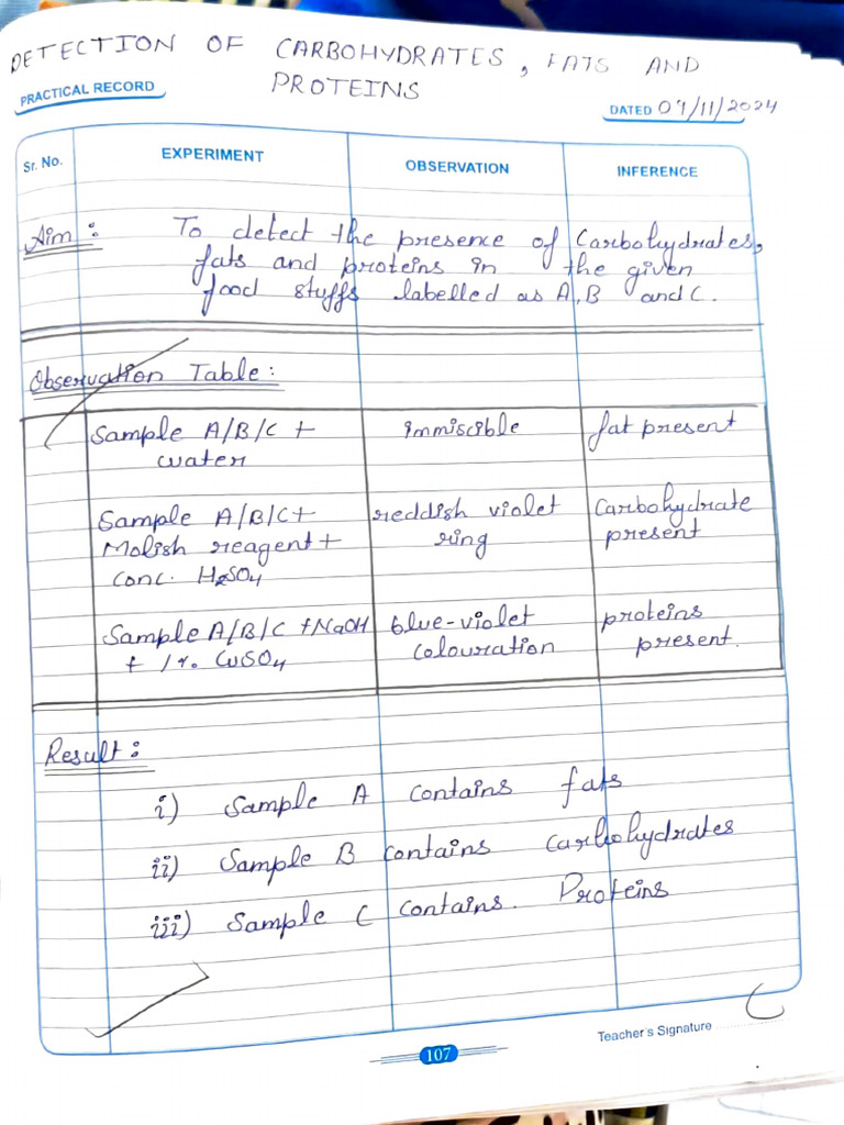 Fats Proteins Carbohydrates Writeup | PDF