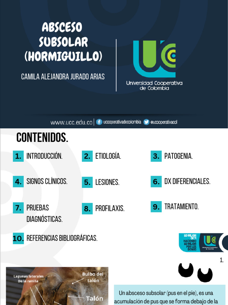 Absceso Subsolar en Caballos: Causas y Tratamiento | PDF | Enfermedades ...