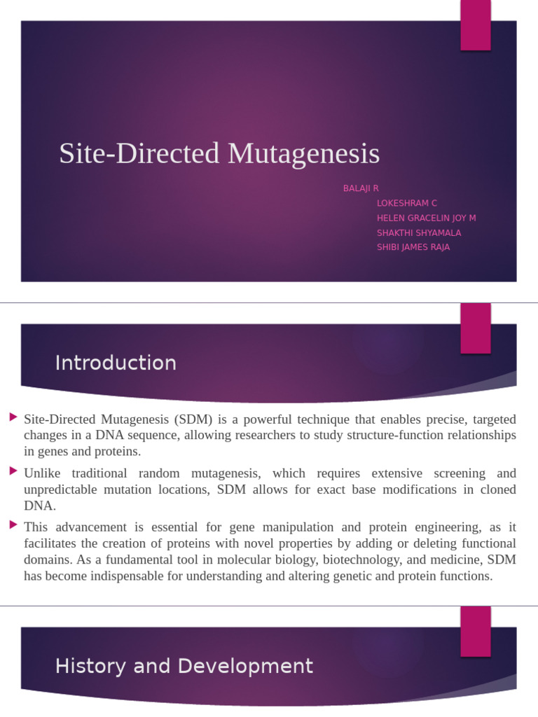 Site Directed Mutagenesis | PDF | Primer (Molecular Biology) | Dna