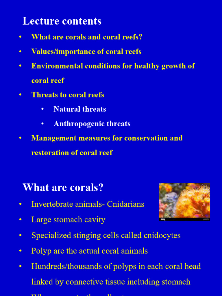Coral Reef Management - Latest | PDF | Coral | Coral Reef
