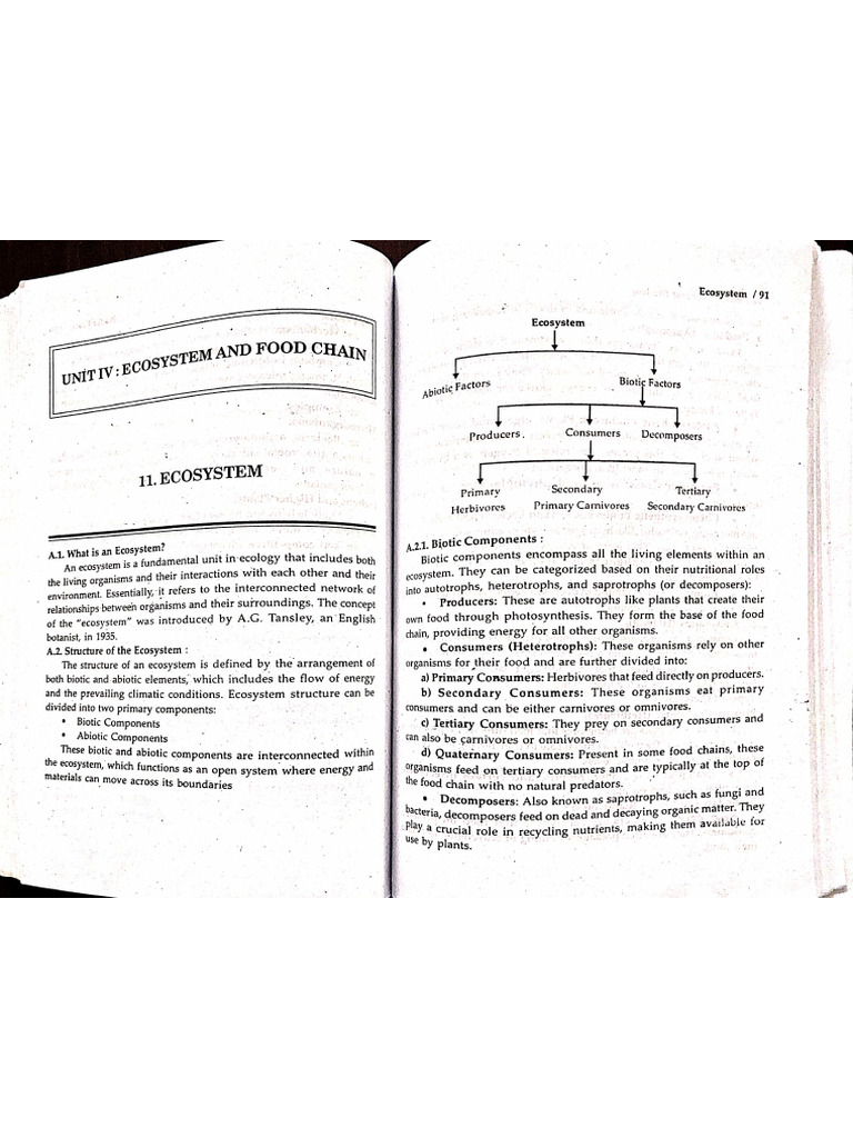 11 Ecosystem | PDF