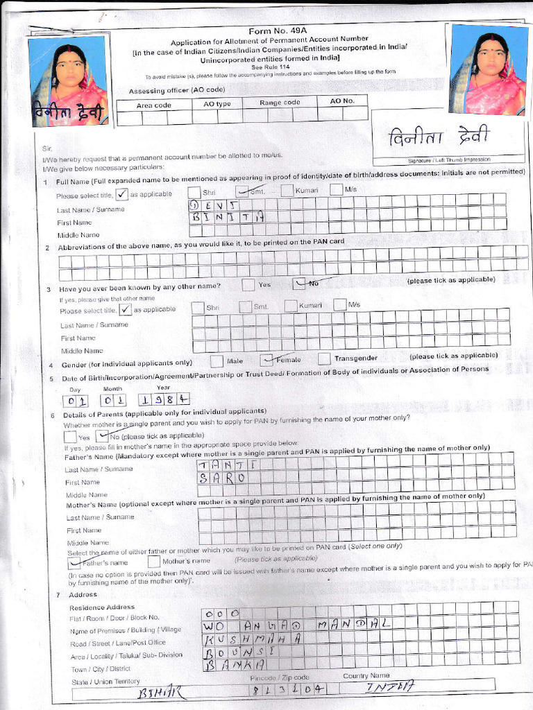 PAN Application Form Instructions | PDF