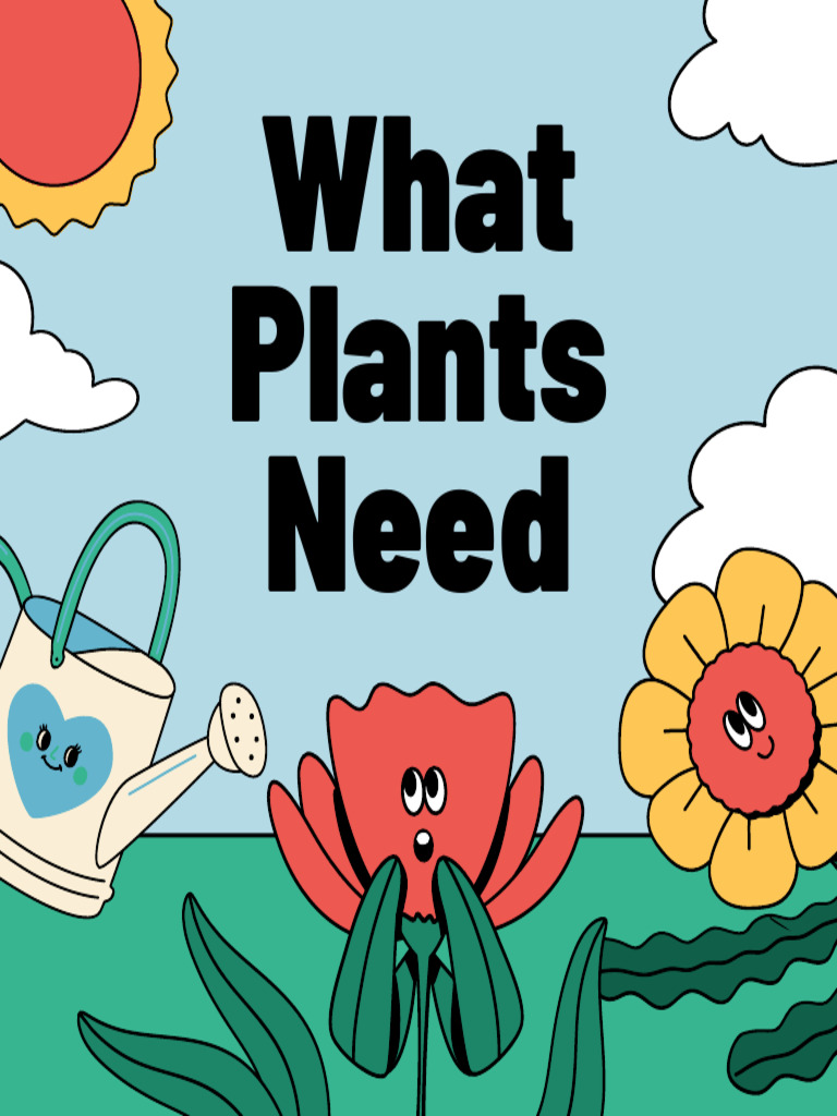 What Plants Need: Sunlight & Water | PDF