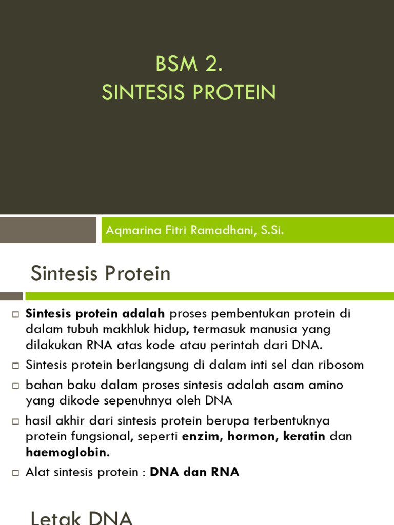 Osn 24 - Bsm 2 Sintesis Protein | PDF