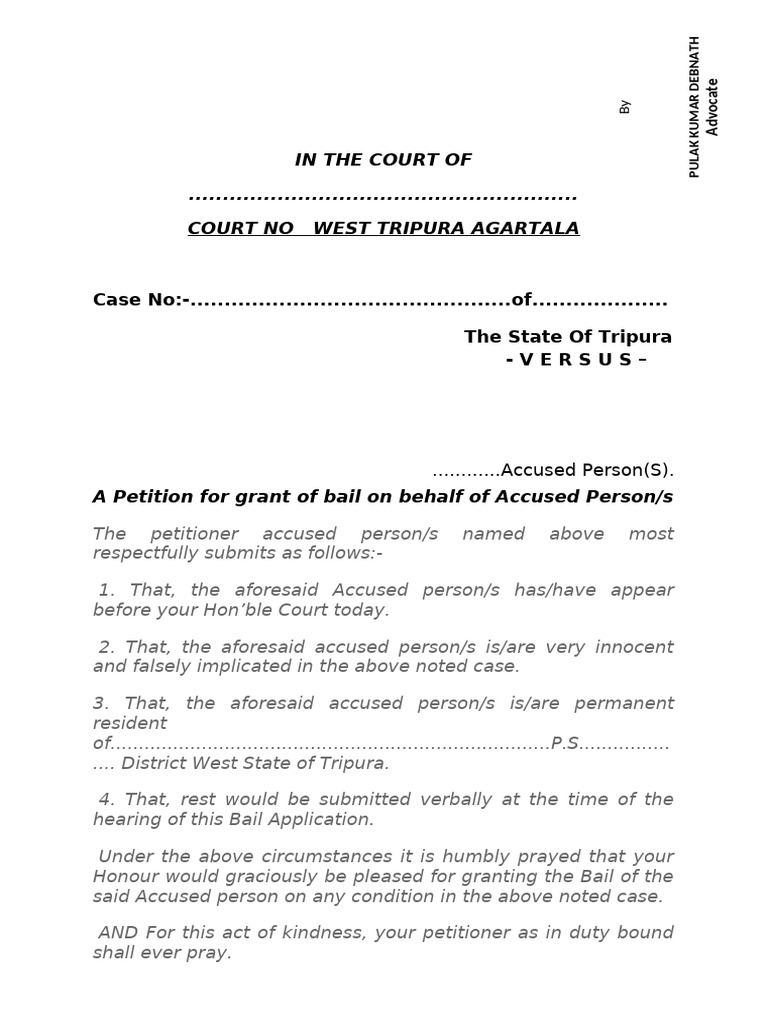 Bail Application | PDF