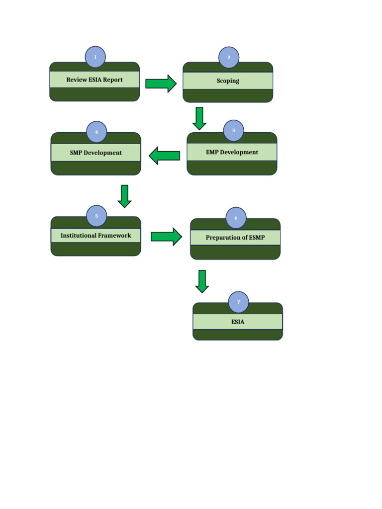 ESIA FLow | PDF