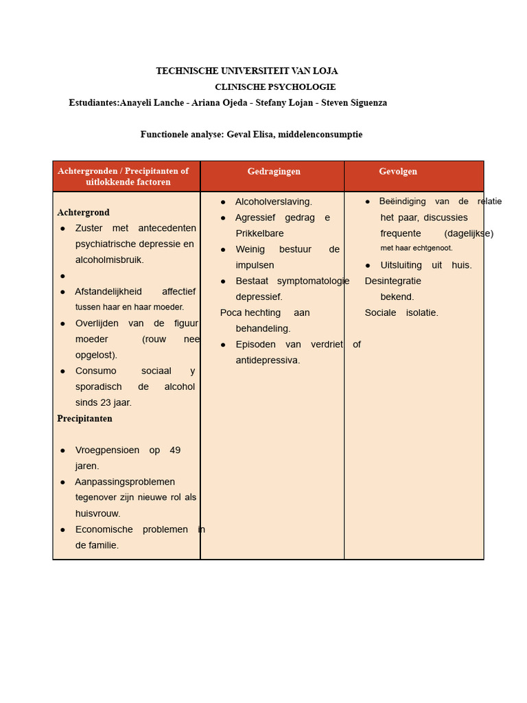 Functionele Analyse - Geval Elisa | PDF