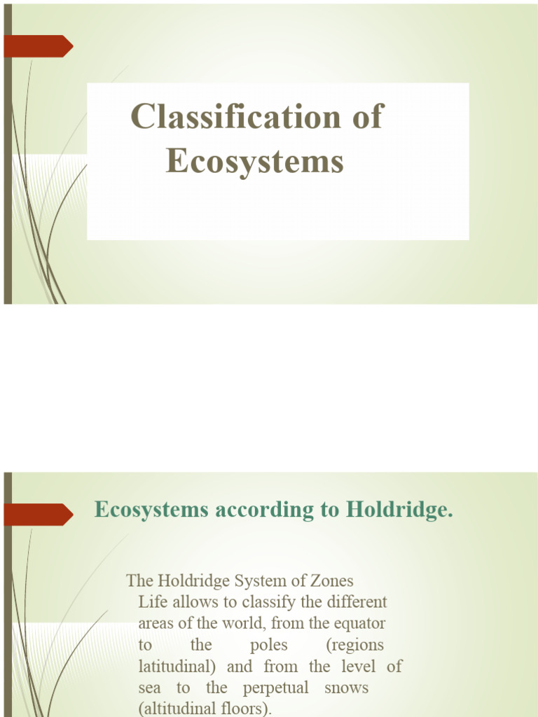 Life Zones According To Holdridge PDF | PDF | Forests | Subtropics