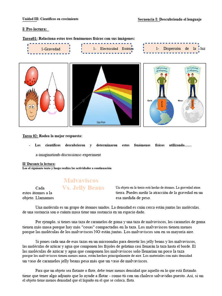 Científicos en Ciernes Descubriendo El Lenguaje | PDF | Densidad ...