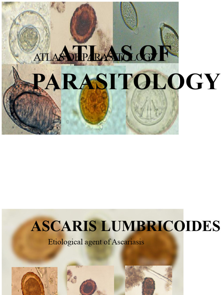 Parasitology Atlas: Key Parasites & Eggs | PDF | Parasitology ...