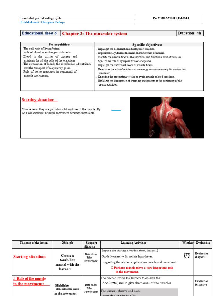 Educational Sheet 6 - The Muscular System | PDF | Skeletal Muscle ...
