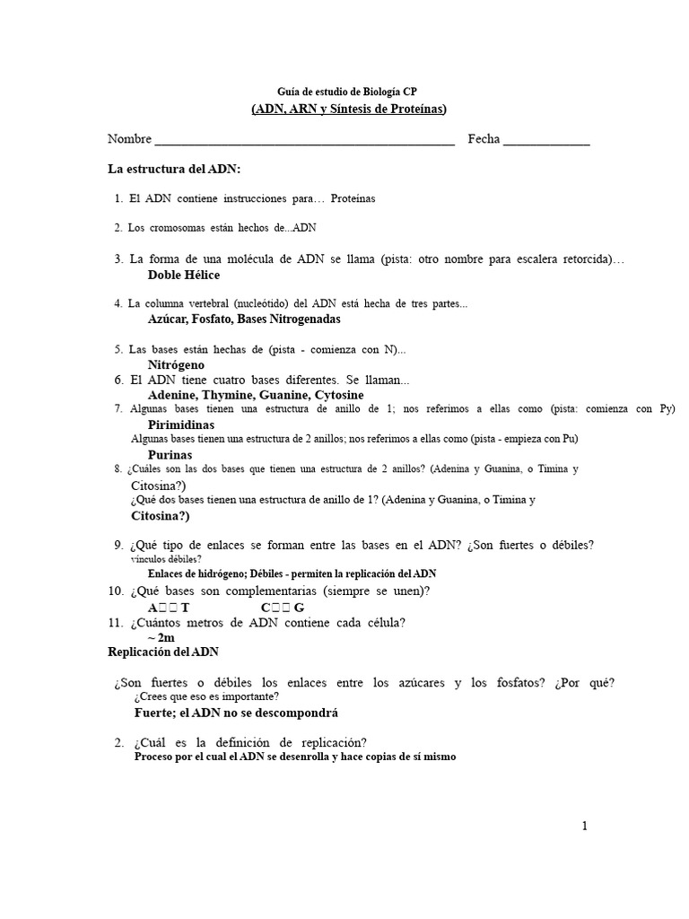 Guía de Estudio de Biología CP (ADN, ARN y Síntesis de Proteínas) Clave ...