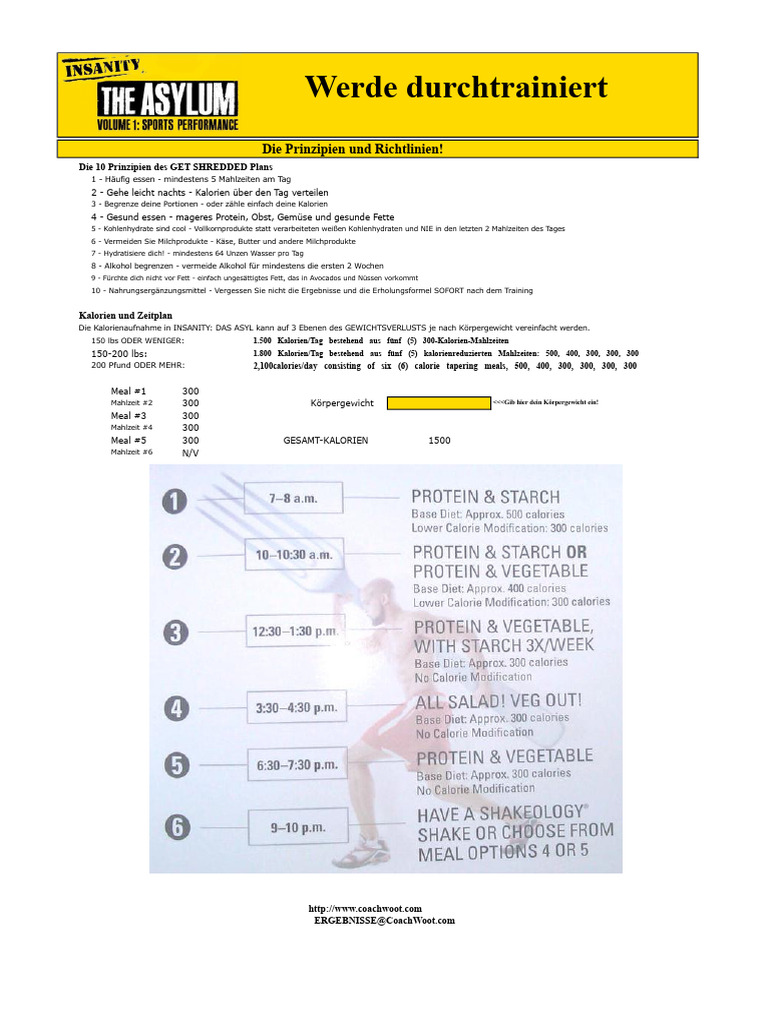 Wahnsinn, der Asyl-Mach-Dich-Fit-Plan Ernährungsleitfaden leicht gemacht | PDF