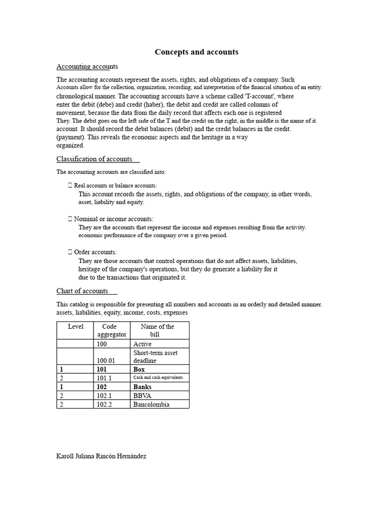 Accounting Accounts and T-Accounts Explained | PDF | Debits And Credits ...