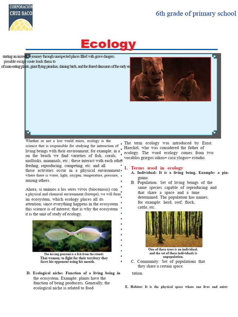The Ecology For Sixth Grade Primary | PDF | Ecology | Ecosystem
